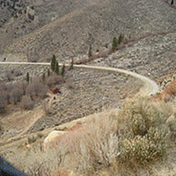 Forests and Rangelands Success Story