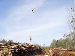 Forests and Rangelands Success Story