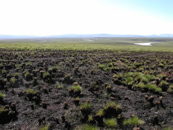 Forests and Rangelands Success Story