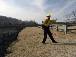 Forests and Rangelands Success Story