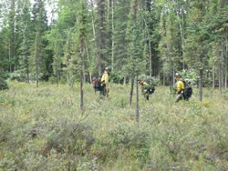 Forests and Rangelands Success Story