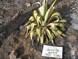 Forests and Rangelands Success Story