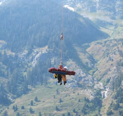 Forests and Rangelands Success Story