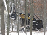 Forests and Rangelands Success Story